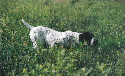 La communication olfactive – Centre Kami